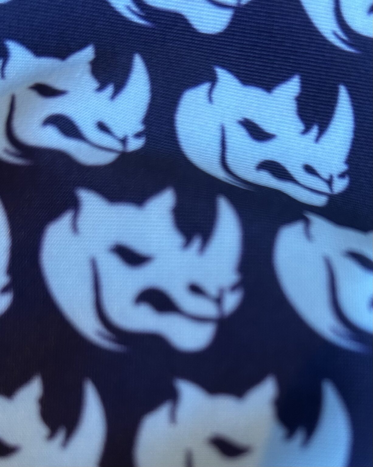 UQ Rugby Mens Togs/Swimmers - UQ Rugby Club Brisbane